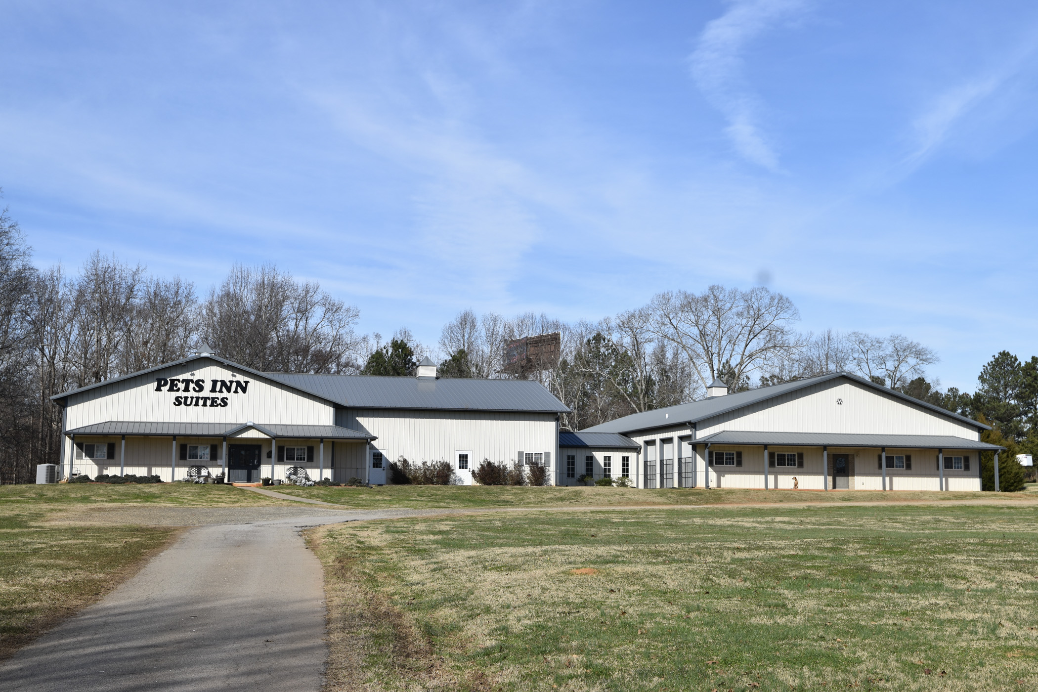 How to Prepare Your Dog for Boarding - OUR HOUSE Braselton